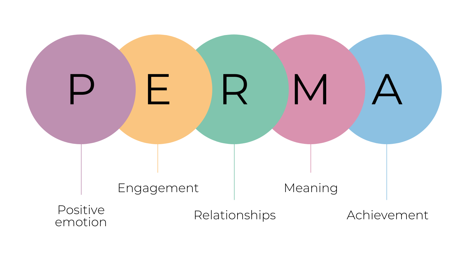 What Is The PERMA Model Of Positive Psychology Podcasts Strengthscope